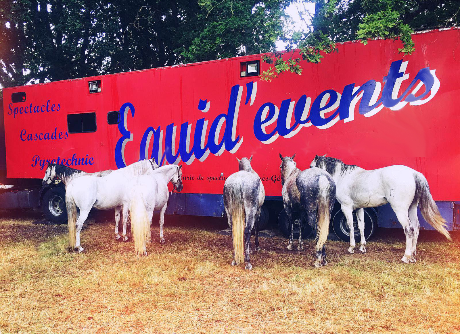 Galerie photos – Equid'Events